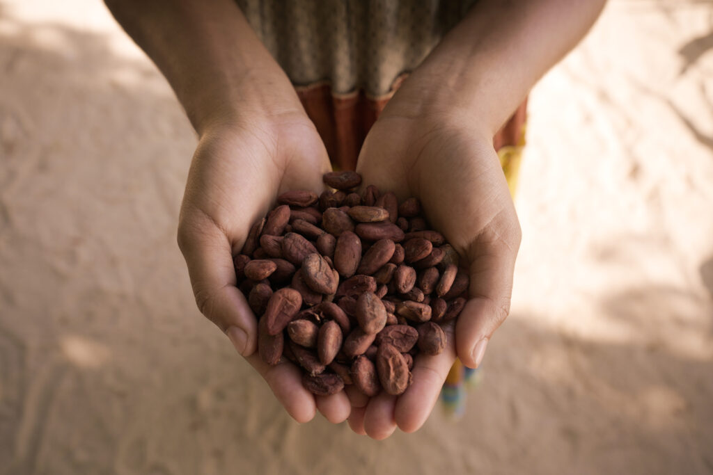 Vanua Chocolate – Fijian Craft Chocolate